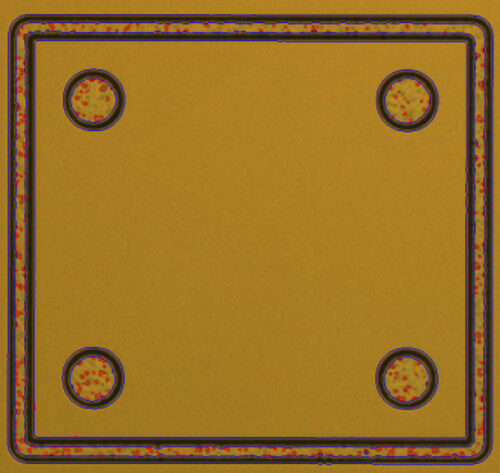 Rapid, low-cost inspection of semiconductor wafers - Nikon Metrology