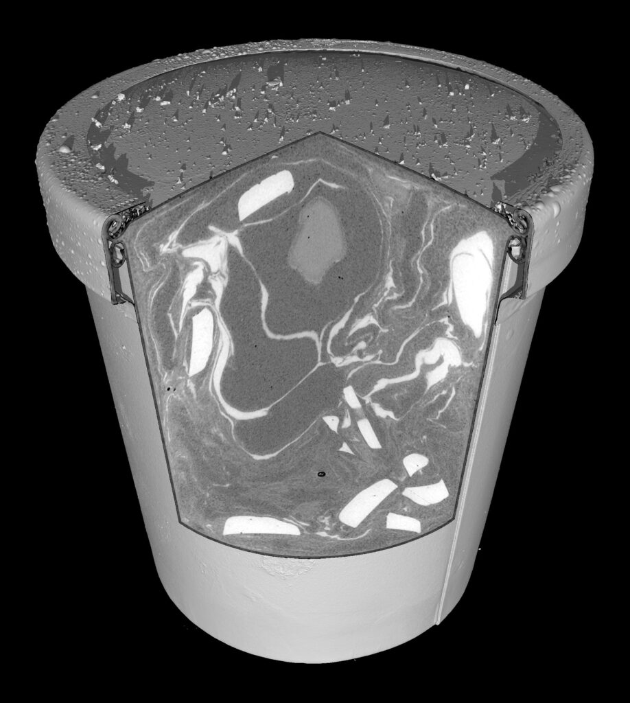 The Scan of July - World Ice Cream Day - Nikon Metrology Inc.