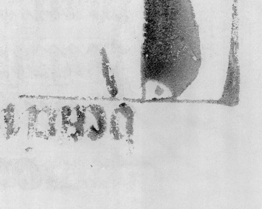 Scan of the Month January – an ancient manuscript! - Nikon Metrology Inc.