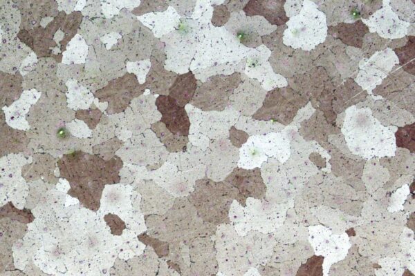 ECLIPSE MA200 - Nikon Metrology Inc.