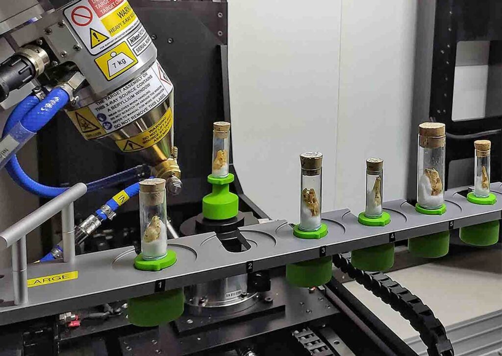 Nikon automated X-ray CT accelerates the Natural History Museum of ...