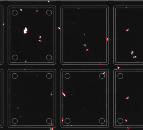 Rapid, low-cost inspection of semiconductor wafers - Nikon Metrology Inc.